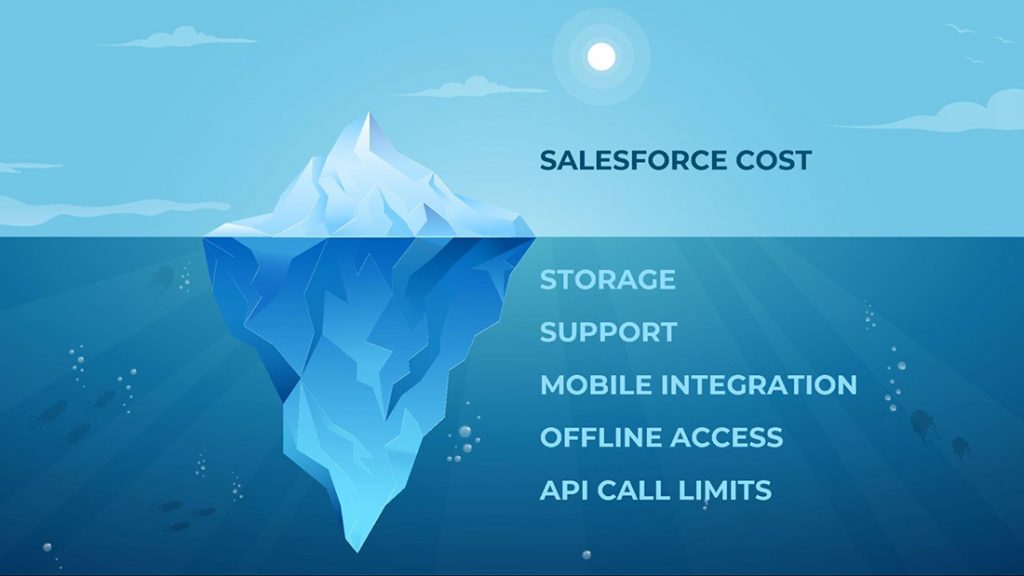 How Much Does Salesforce Really Cost?